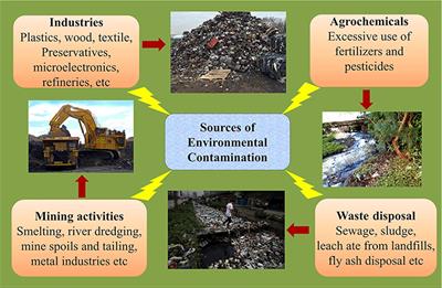 Frontiers | Understanding and Designing the Strategies for the Microbe-Mediated Remediation of ...